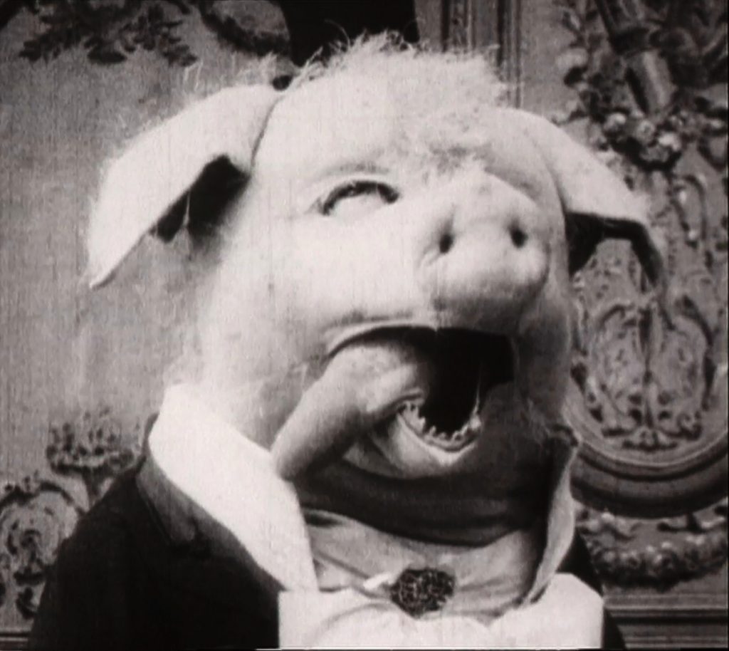 Don Gorrino – Sombras y Delirios